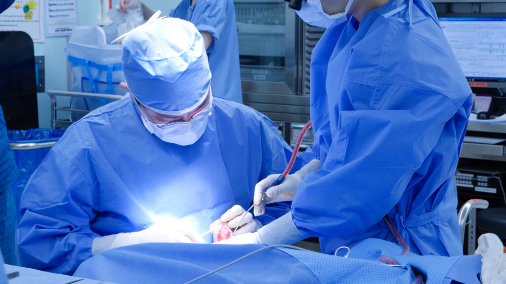 Technology – Organ Regeneration Platform